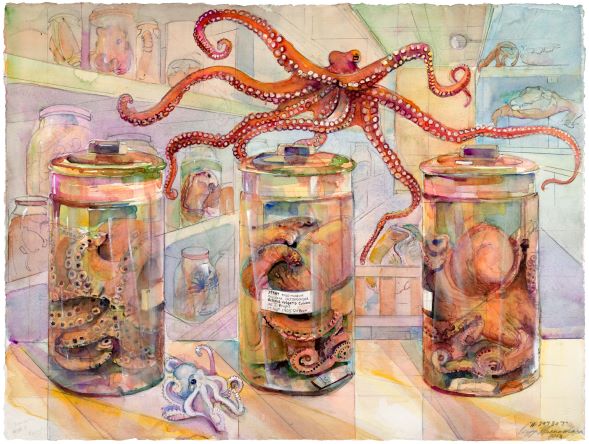 5 Questions with Janet Voight and Peggy Macnamara, authors of “From the ...